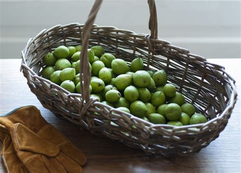 Pickled Walnuts Wild Food Uk