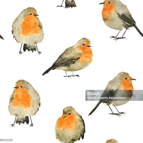 흰색 배경에 로빈 새의 귀여운 매끄러운 패턴 수채화 손 그리기 그림 겨울 회색과 오렌지 새 직물 섬유 종이에 인쇄에 적합합니다 유럽울새에 대한 스톡 벡터 아트 및 기타