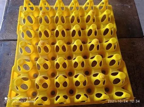 Plastic Egg Teay No Of Egg Capacity 30 Eggs Tray Size 17 At Rs 38piece In Gonda