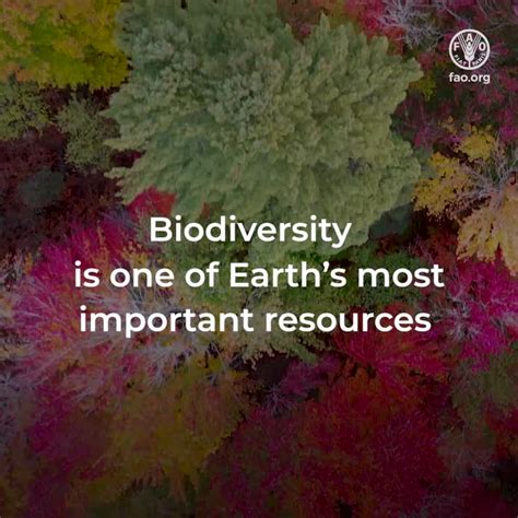 Dwi Setyo Aji Posted On Linkedin