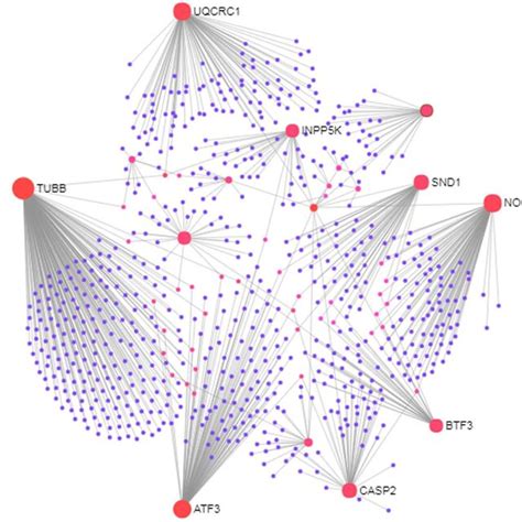 Protein Drug Interactions Network The Interactions Between Drugs And Download Scientific
