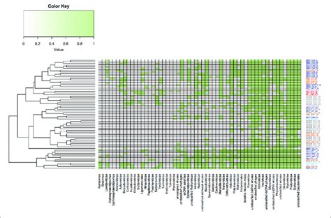 Clustering Dendrogram Based On The Abundance Of Virus Families
