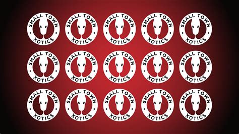 Abes Exotic Reptiles This Leo Dg Het Pied Is So Busy And Bright He Almost Looks Like A