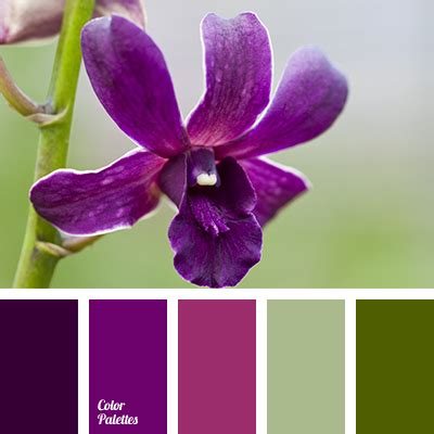 Color Palette 2779 Color Palette Ideas