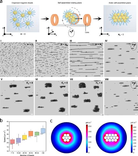Figure 2 From Magnetic Microrobot Swarms With Polymeric Hands Catching