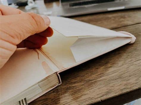 Moleskine Vs Leuchtturm Which Is The Better Journal For 2022