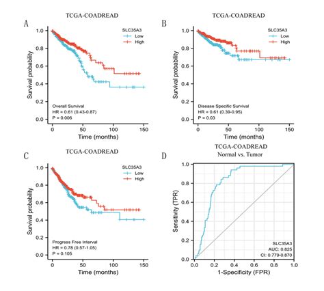 Human Crc Cell Lines And Clinical Crc Tissues Have Decreased Expression