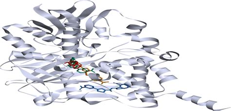 Binding Of The Compounds Inside The Inhibitor Binding Site Of The