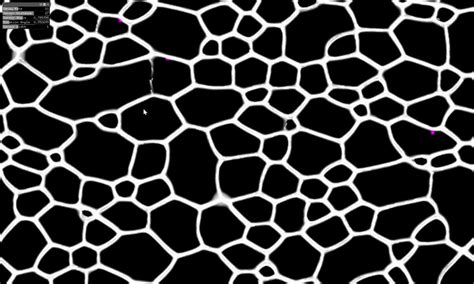 Lukas Lyon On Linkedin Cpp Glsl Physarum