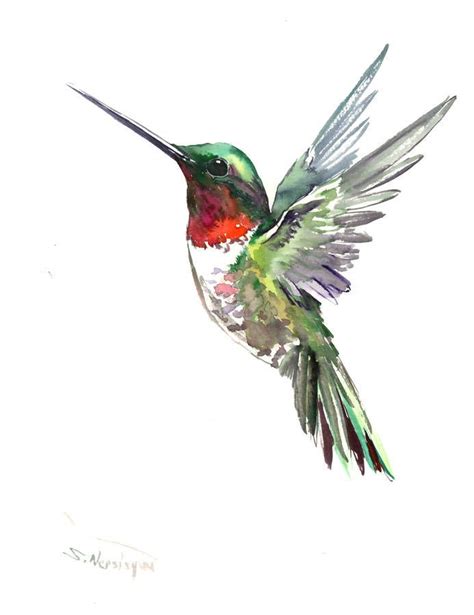 Ruby Throated Hummingbird Drawing Drawing Improvement Challenges