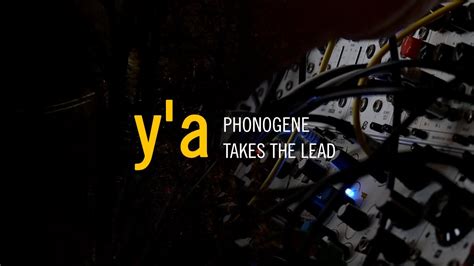 Ya Phonogene Sample Mangling Three Body Bass Doppio On The