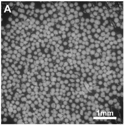 Preparation Method And Application Of Porous Geological Polymer Microspheres Eureka Patsnap