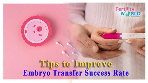 Embryo Transfer 9 Tips To Improve Your Success Rate Fertilityworld