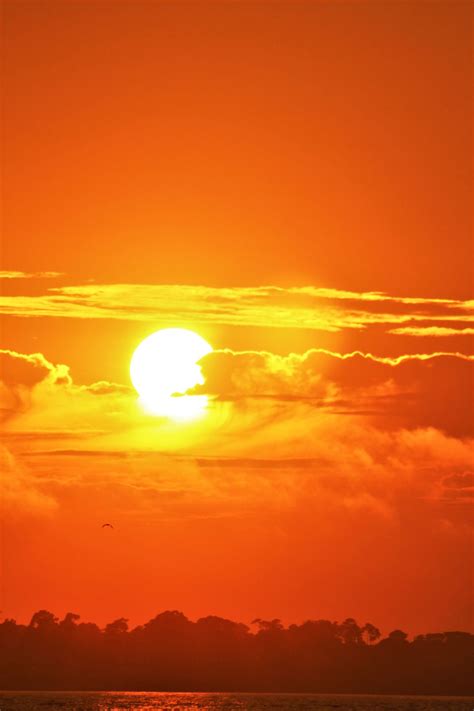 Brilliant Orange Sunset Smithsonian Photo Contest Smithsonian Magazine