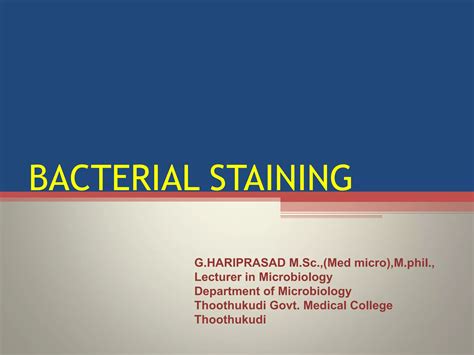Bacterial Staining Ppt