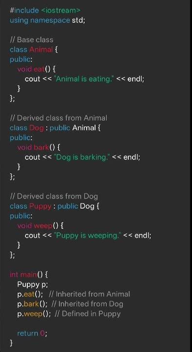 Multilevel Inheritance In C Simple Examplecpp Cplusplus