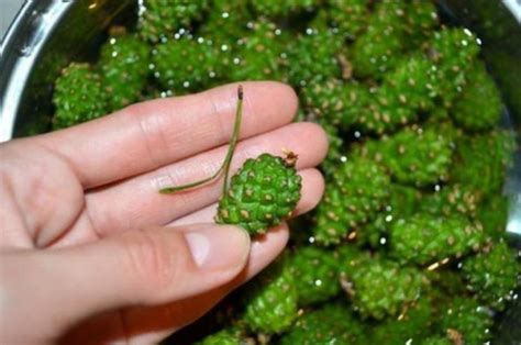 8 პრობლემა რომელთა გადასაჭრელად წყალბადის ზეჟანგი უალტერნატივოა უნდა სცადოთ გაოცდებით