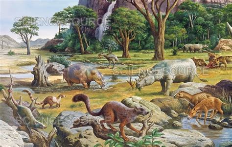 Cenozoic Era Animals Stock Image Science Source Images