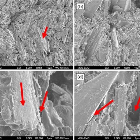 Sem Fracture Surface Micrographs Of C 8 Wfchcl 3 Pp 60100 Download Scientific Diagram