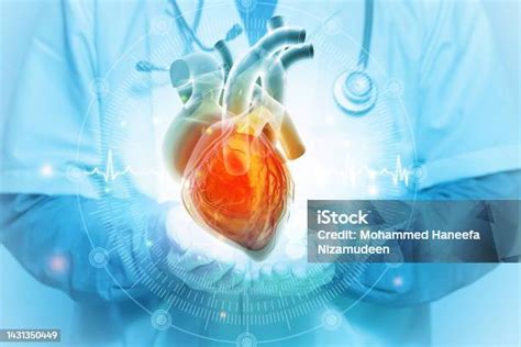 인간 마음의 해부학 의사와의 의료 약속 통증 공격 심장 시스템의 질병 3d 일러스트레이션 심장에 대한 스톡 사진 및 기타 이미지 Istock