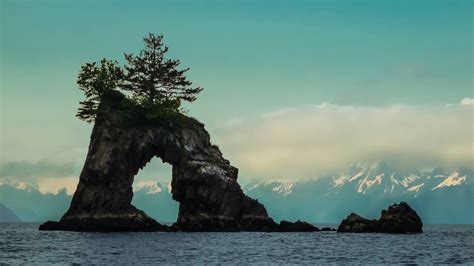 Sea Arches And Stacks