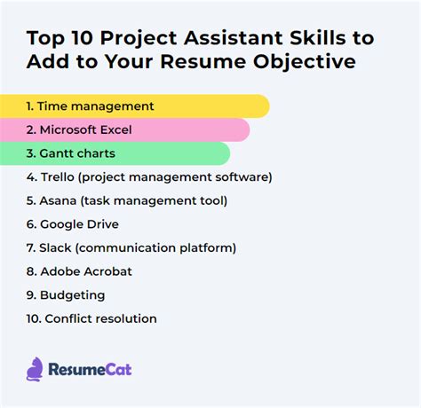 Top 17 Project Assistant Resume Objective Examples
