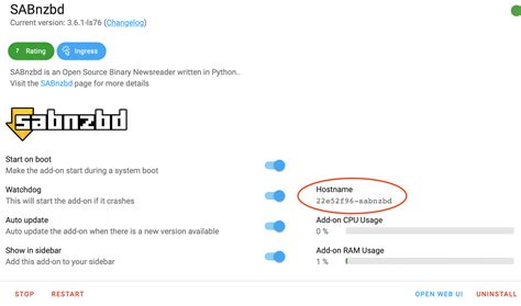 Sabnzb · Issue 17 · Evilmartyhassio Addons · Github