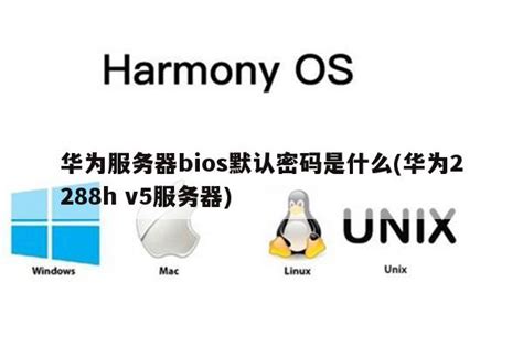 华为服务器bios默认密码是什么 华为2288h V5服务器 装机吧