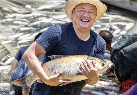 C视觉︱人欢鱼跃 巴中恩阳淡水经济助农增收 川观新闻