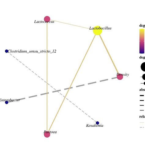 A Correlation Clustering And Heat Map Analysis Of Top 10 Genera With