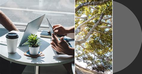 List Lifecycle İnterview Curated By Hasip Tektaş Medium