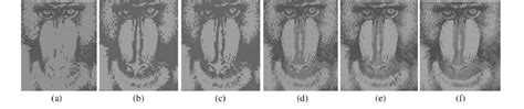Decompressed Baboon Image Of Six Vq Techniques With Codebook Size Of Download Scientific