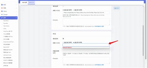 Ipv6设置通过网卡获取，无网卡信息 · Issue 651 · Jeessy2ddns Go · Github