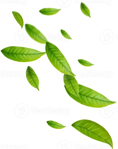 Falling Leaf Pngs For Free Download