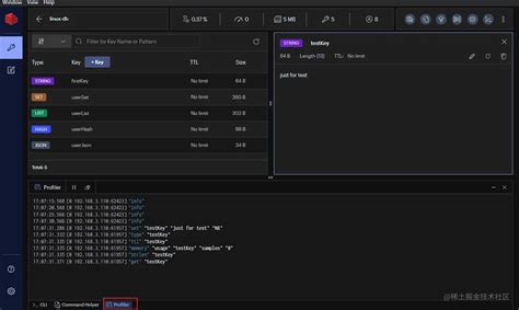 springboot Redis official visualization tool RedisInsight 个人文章