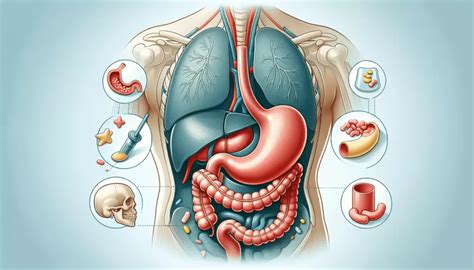 Understanding The Symptoms Of Hiatal Hernia Induced Acid Reflux