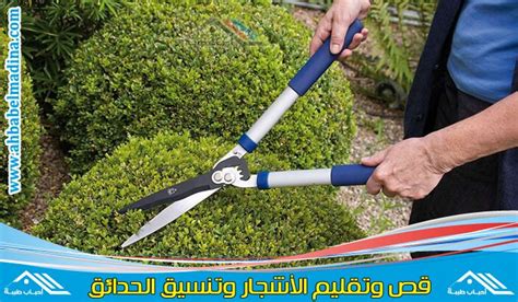 عامل قص اشجار بالاحساء And وتقليم الأشجار Spear And Jackson Hedge