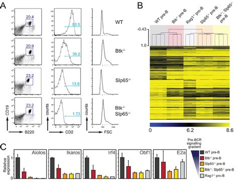 Gene Expression Profiling Strategy For The Identification Of Genes