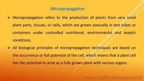 Micropropagation Ppt Horticulture Guruji