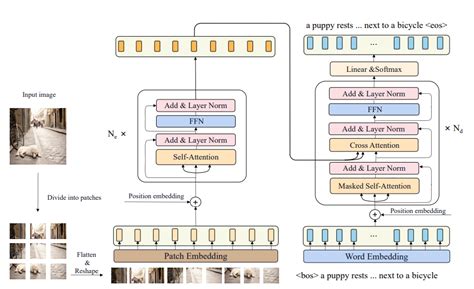 شبكة المحوّل الكاملة لتوصيف الصّورة Cptr Full Transformer Network