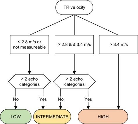 Echocardiographic Assessment Of Pulmonary Hypertension A Guideline