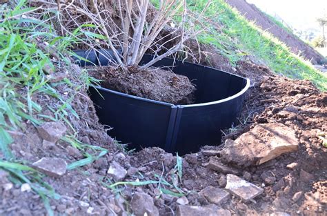 Root Barrier Artofit