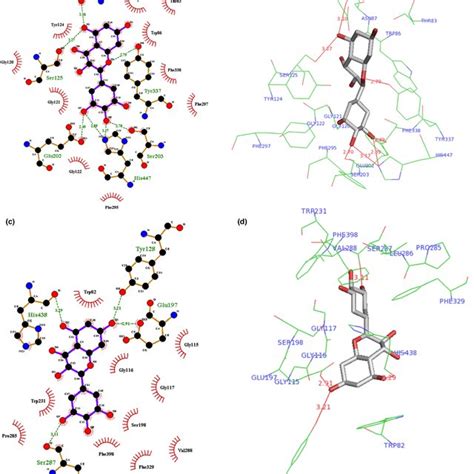 The Structure Of 17 Well‐known Propolis Flavonoids Download Scientific Diagram