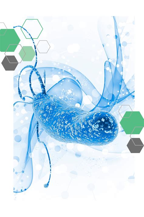 Helicobacter Pylori Przeciwciała Igm Lab Med Laboratorium Medyczne