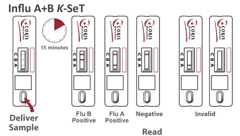 Influenza A Influenza B Viruses Rapid Diagnostic Test Sterilab