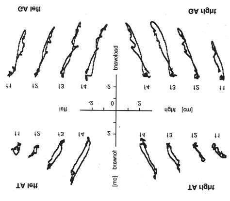 Grand Average Cop Responses Of All Subjects In The Form Of An
