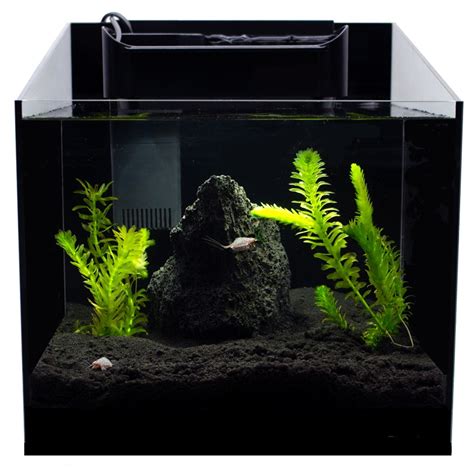 Triops Aquarium Set