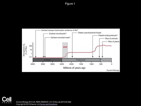 The Great Oxygenation Event The Earths First Mass