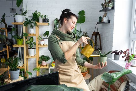 한 여자가 집 안의 선반에서 사랑으로 자란 물뿌리개에서 희귀종 컬렉션에서 집 식물에 물을 줍니다 가정 식물 재배 온실 물 균형