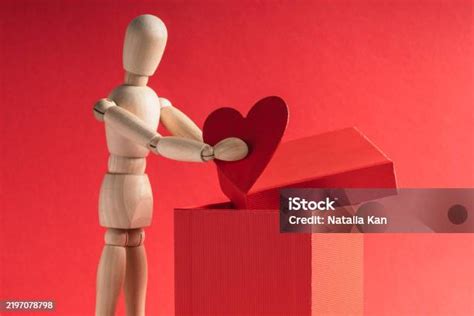 빨간 배경에 선물 상자에 하트의 나무 모델을 포장하는 남자의 나무 모델 모형 발렌타인 데이 생일 결혼식 날을 위한 카드 2월에 대한 스톡 사진 및 기타 이미지 Istock
